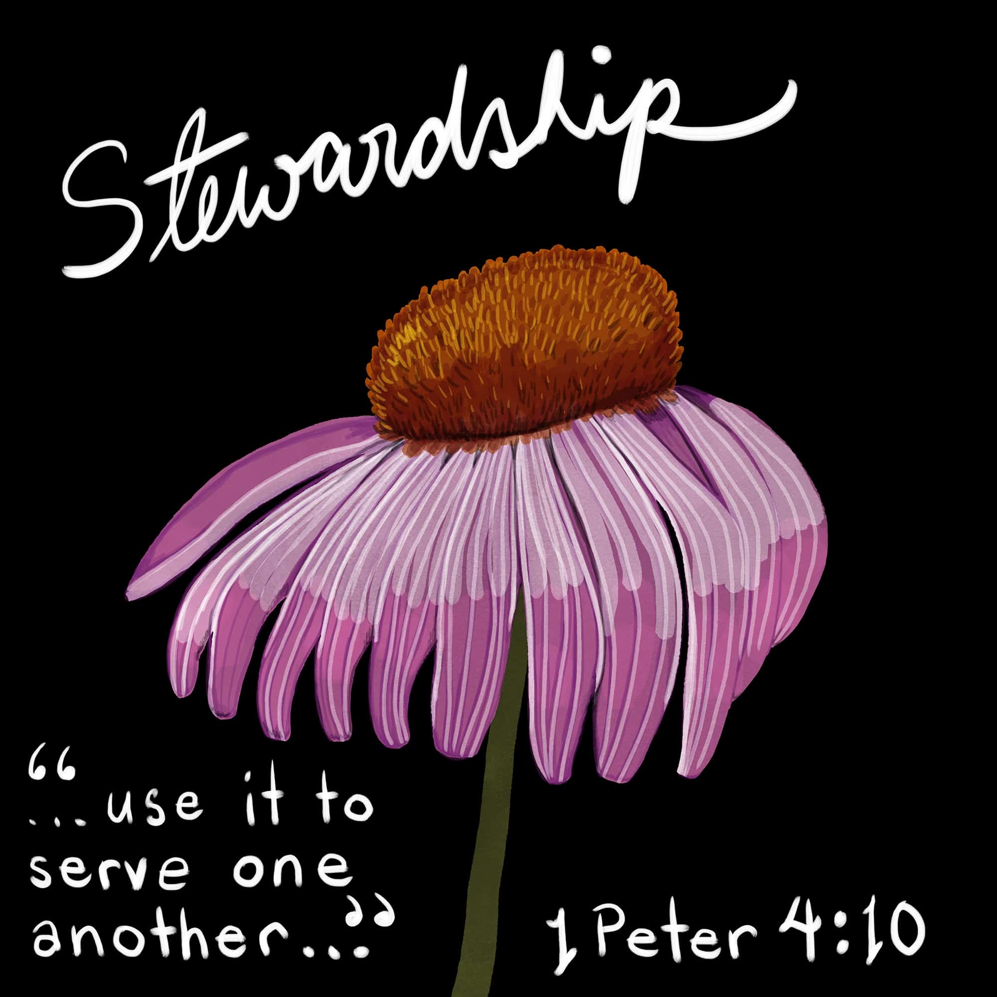 Dynamic Steward Magazine and Stewardship Reflections