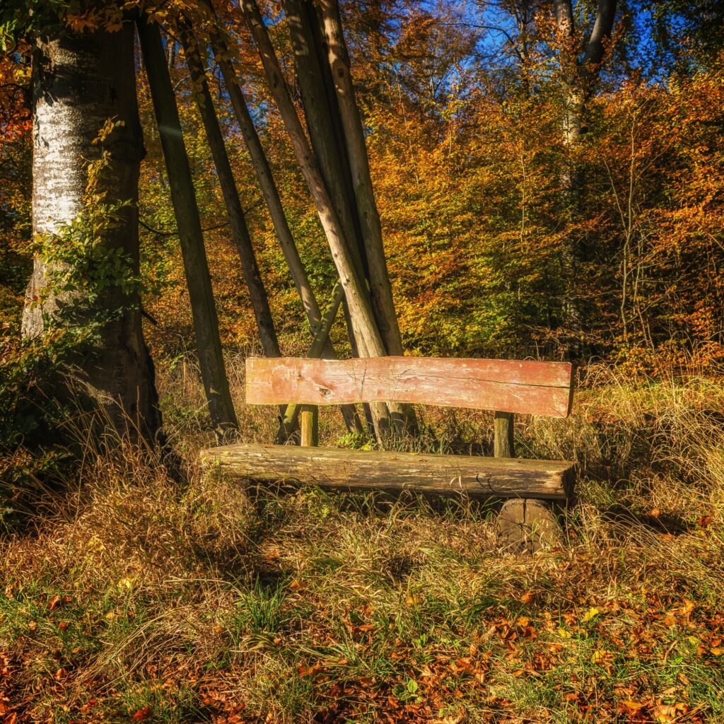 In Memoriam Sebert Henry Jr.