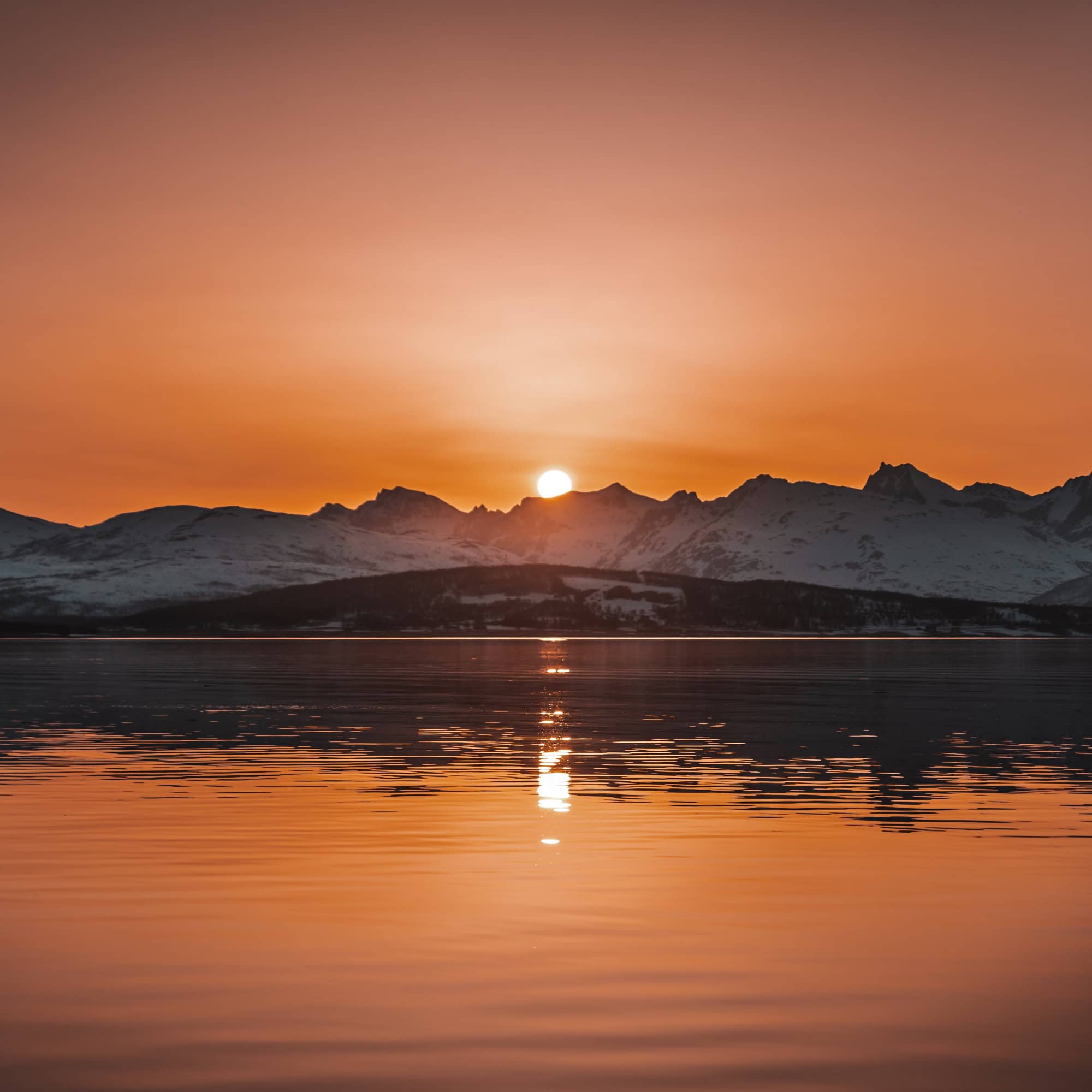 Update: In Memoriam Eileen George